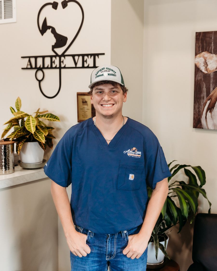 Veterinarian In Hamilton, MO | Allee Veterinary Services